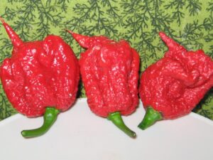 Los chiles más picantes del mundo: Guía para amantes del picante